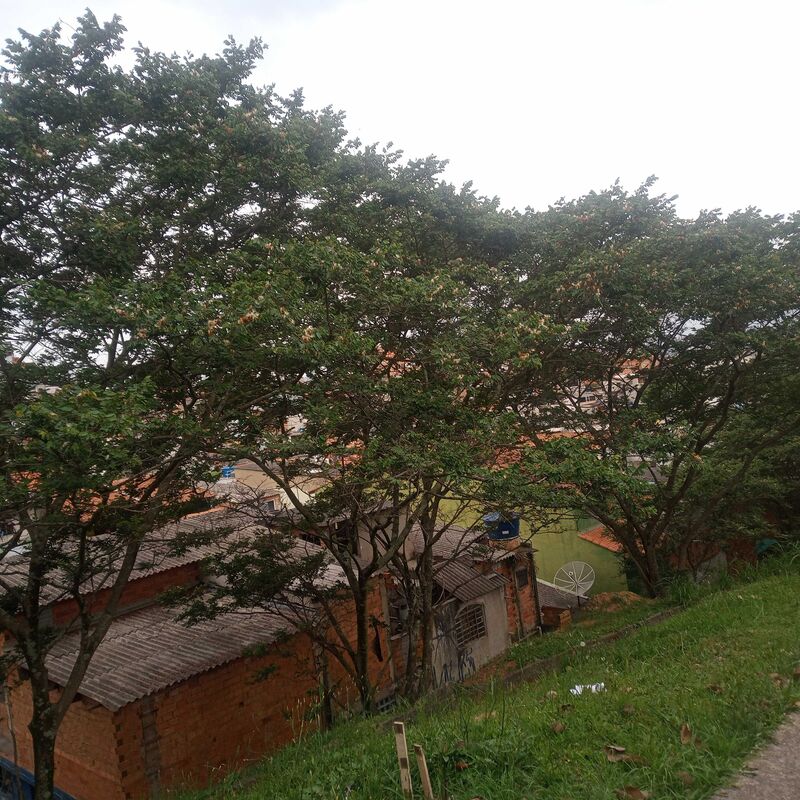 Colab - A rede social para cidadania