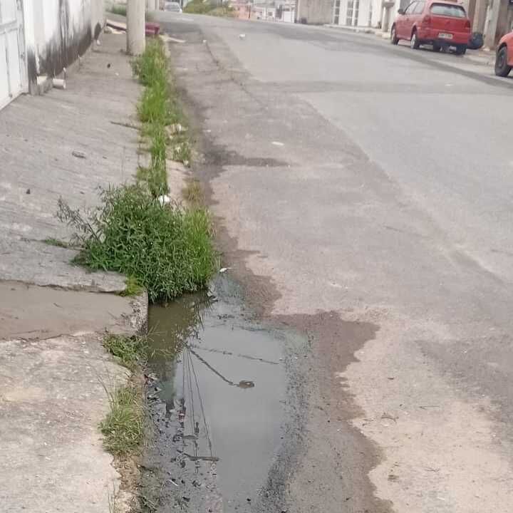 Colab - A rede social para cidadania